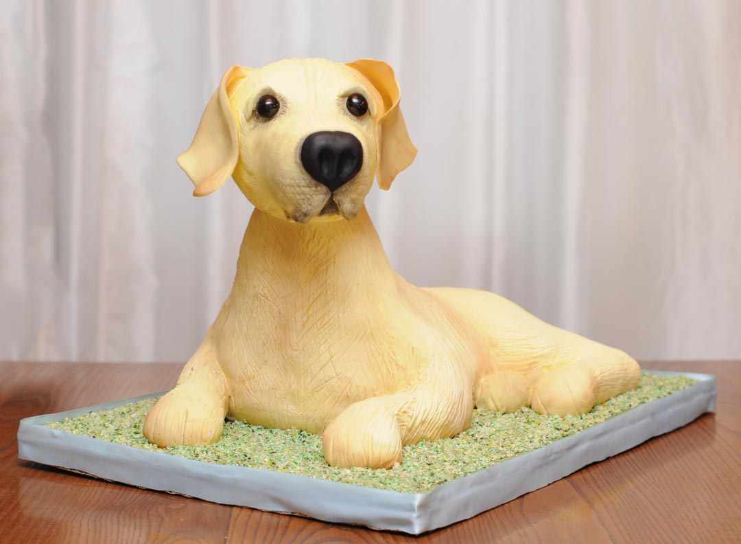 Poochie-Dog Pup Cake – Cakes By Caralin